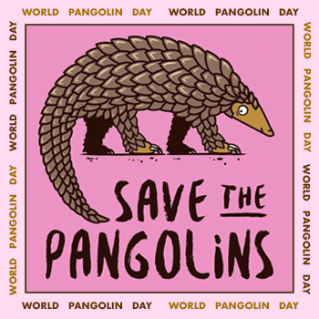Happy World Pangolin Day – Barry M Australia